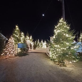 YULETIDE AT DEVON - Updated December 2025 - 35 Photos - 23 Dorset Rd ...