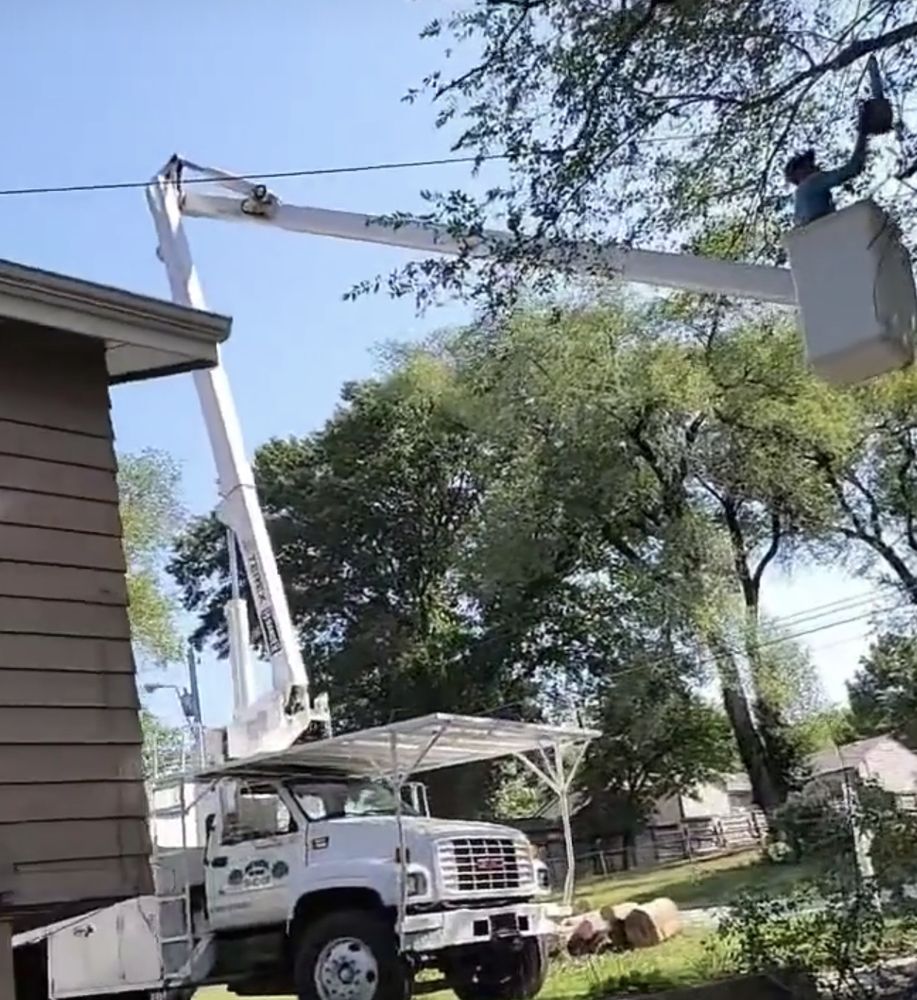 TREE SERVICE ARBORIST - Updated January 2026 - 27 Photos - Rialto ...