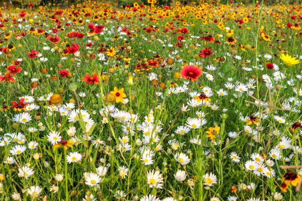 OXFORD RANCH CAMPGROUND - 18 Photos & 13 Reviews - 11380 S State Hwy 16 ...