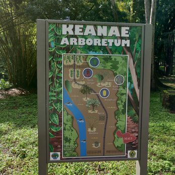 KE’ANAE ARBORETUM - Updated October 2025 - 93 Photos & 18 Reviews ...
