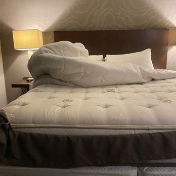 BOSTON MARRIOTT NEWTON - Updated July 2025 - 121 Photos & 164 Reviews ...