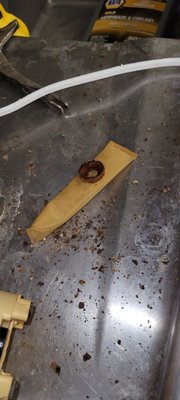 PRO-TEK AUTOMOTIVE - Updated July 2025 - 36 Photos & 25 Reviews - 74830 ...