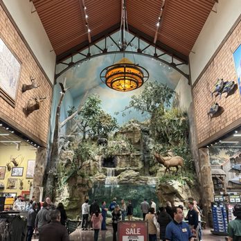 BASS PRO SHOPS - Updated July 2024 - 248 Photos & 114 Reviews - 71 ...