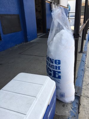 LONG BEACH ICE - Updated December 2025 - 40 Photos & 62 Reviews - 1600 ...