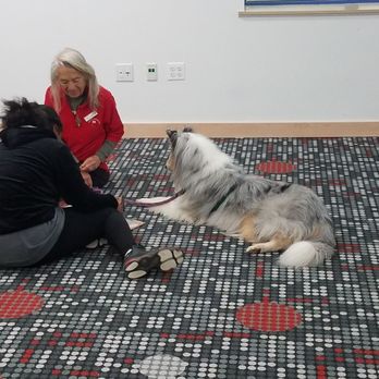 HOWARD COUNTY LIBRARY SYSTEM - EAST COLUMBIA BRANCH - Updated November ...