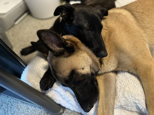 MERCY FULL PROJECT - Updated November 2025 - 31 Photos & 26 Reviews ...