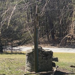 ANNIE’S RUFF CUT - Updated July 2025 - 70 Photos & 51 Reviews - 90 ...