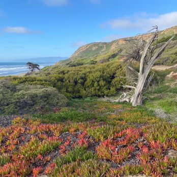 THORNTON STATE BEACH - Updated October 2025 - 230 Photos & 50 Reviews ...