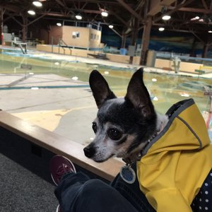 BAY MODEL VISITOR CENTER - 201 Photos & 60 Reviews - 2100 Bridgeway ...