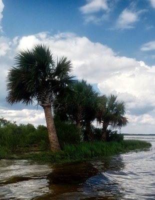 WAKULLA BEACH - Updated January 2026 - 16 Photos - 1204 Wakulla Beach ...