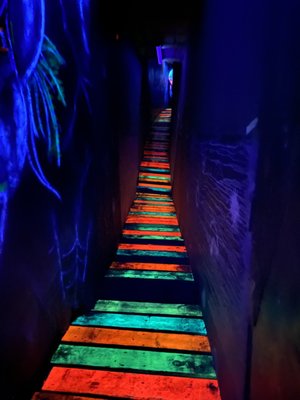 WICKED WORLD SCAREGROUNDS - Updated May 2026 - 34 Photos - 5817 Tates ...