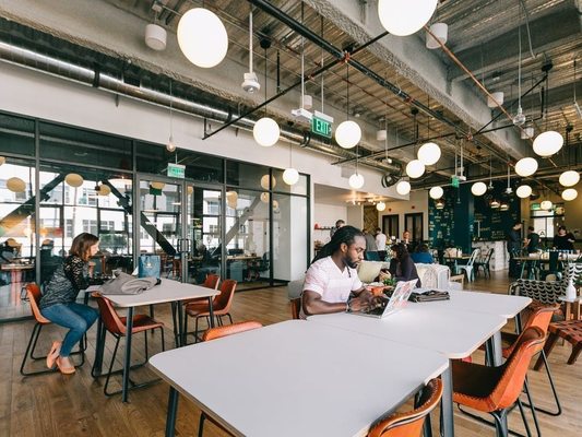 ROBERT RICCO, CPA - Updated August 2025 - 81 Reviews - 312 Arizona Ave ...