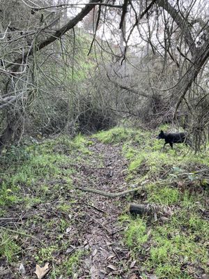 RIVERBOTTOM PARK - Updated October 2025 - 16 Photos - Fresno ...