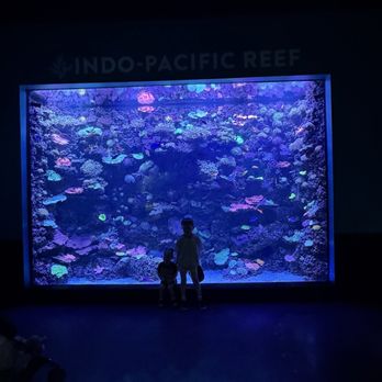 ARIZONA BOARDWALK - Updated December 2025 - 142 Photos & 41 Reviews ...