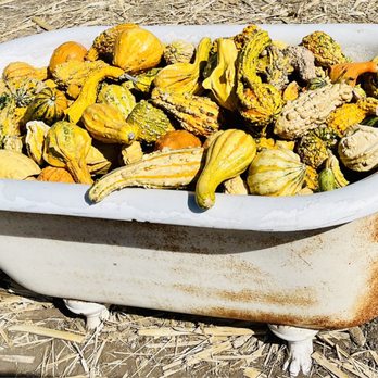 FERRARI FARMS - Updated September 2024 - 145 Photos & 60 Reviews - 4701 ...