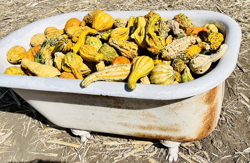 FERRARI FARMS - Updated October 2025 - 191 Photos & 69 Reviews - 4701 ...