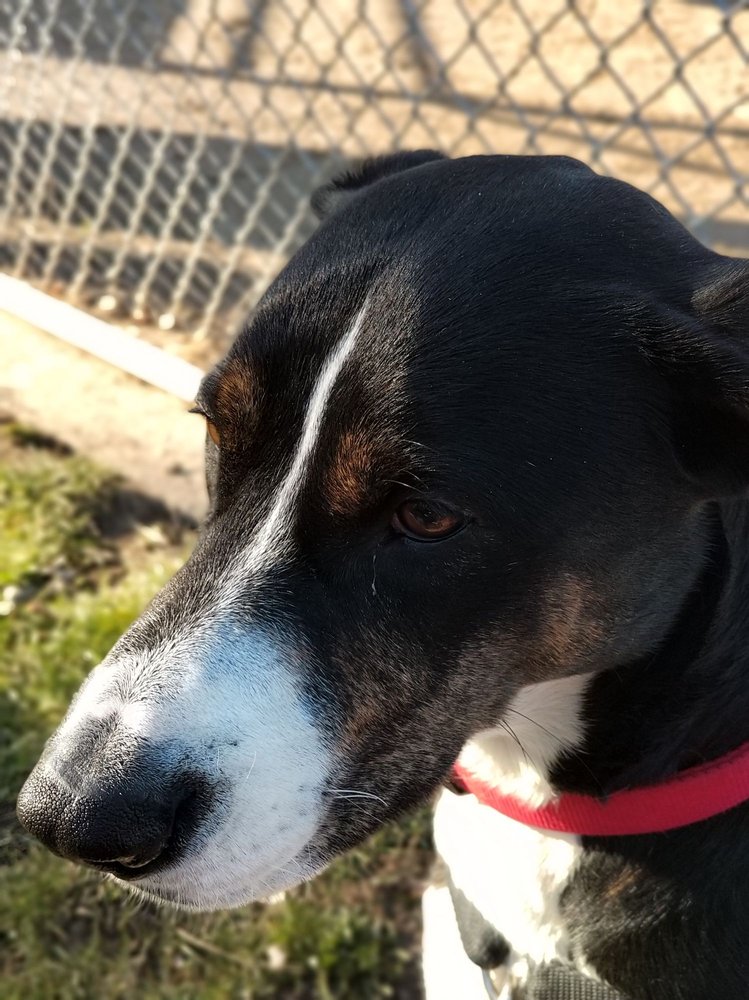 VIEW RIDGE PLAYFIELD - Updated December 2025 - 10 Reviews - 4408 NE ...