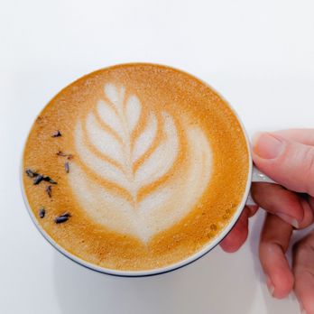 SUGAR BABY - Updated April 2024 - 153 Photos & 47 Reviews - 9191 Park ...