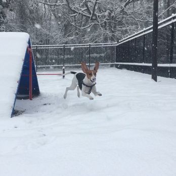 RICHMOND SPCA - Updated December 2025 - 64 Photos & 63 Reviews - 2519 ...