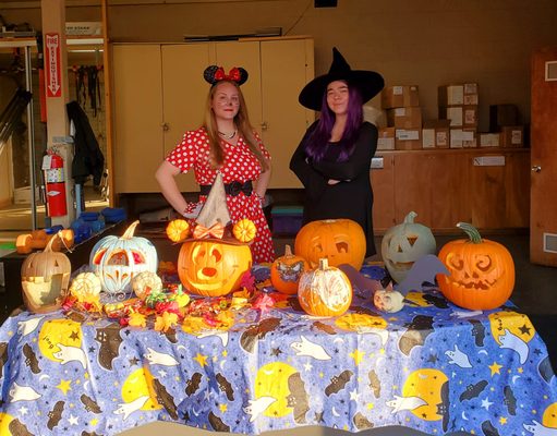 KILLROY PEST CONTROL - Updated December 2025 - 17 Photos & 300 Reviews ...