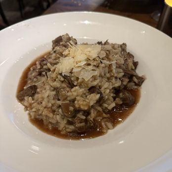 COOPER’S HAWK - WESLEY CHAPEL - Updated August 2025 - 487 Photos & 233 ...