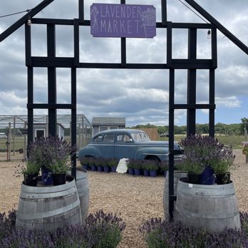 WATERDRINKER FAMILY FARM & GARDEN - Updated May 2024 - 420 Photos & 86 ...