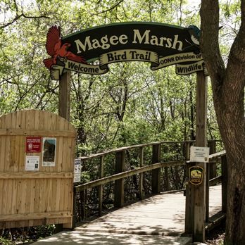 MAGEE MARSH WILDLIFE AREA - Updated December 2025 - 46 Photos & 15 ...