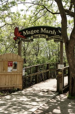 MAGEE MARSH WILDLIFE AREA - Updated December 2025 - 46 Photos & 15 ...