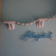 TOE BEANS AND DREAMS ADOPTION CAFE - 126 Photos & 27 Reviews - 98-199 ...