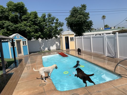 RUFF HOUSE PET RESORT - Updated September 2025 - 231 Photos & 212 ...