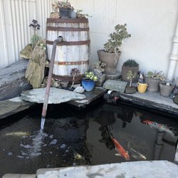 CASCADE ROCK - 47 Photos & 77 Reviews - 8585 Kiefer Blvd, Sacramento ...