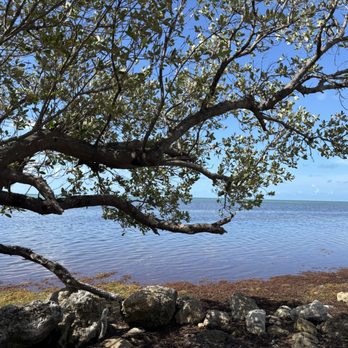 LONG KEY STATE PARK - Updated December 2025 - 181 Photos & 72 Reviews ...