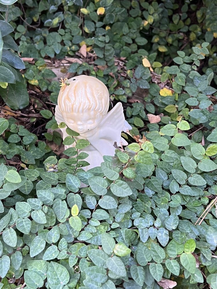 ST RITA CATHOLIC CHURCH - Updated January 2026 - 12 Reviews - 22 Saint ...