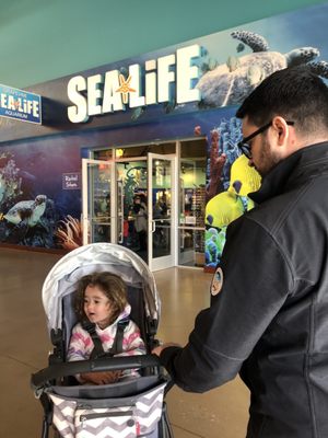 SEA LIFE GRAPEVINE AQUARIUM - 317 Photos & 218 Reviews - Aquariums ...
