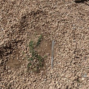 JPR DECORATIVE GRAVEL - Updated April 2025 - 15 Reviews - 204 ...