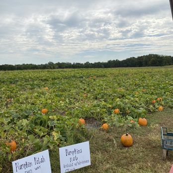 MESSICK’S FARM MARKET - Updated July 2024 - 140 Photos & 84 Reviews ...