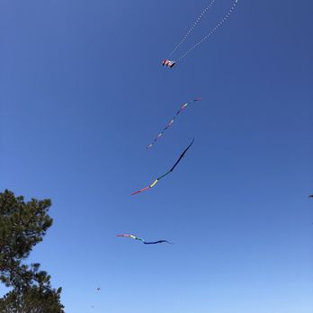 COYOTE POINT RECREATION AREA - Updated October 2024 - 640 Photos & 232 ...