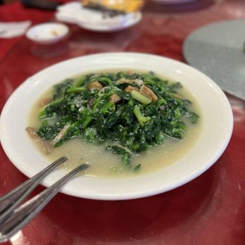 CANTON MANOR - Updated November 2024 - 678 Photos & 122 Reviews - 220 ...