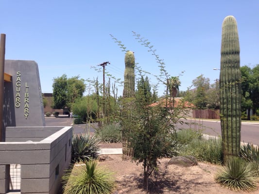 SAGUARO LIBRARY - Updated December 2025 - 19 Photos & 21 Reviews - 2808 ...