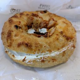 SINCERELY BAGEL - Updated July 2025 - 39 Photos & 20 Reviews - 525 NE ...