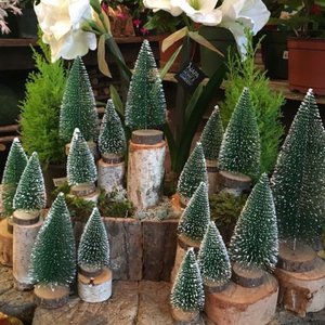 BATES NURSERY AND GARDEN CENTER - Updated October 2025 - 290 Photos ...