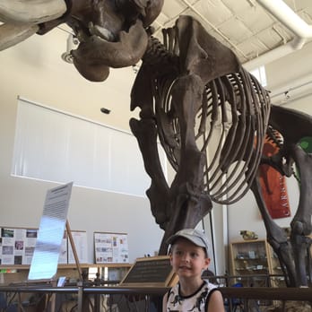 FOSSIL DISCOVERY CENTER OF MADERA COUNTY - 92 Photos & 23 Reviews ...