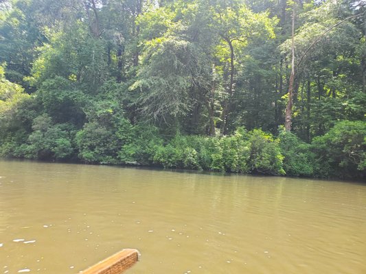 CARTECAY RIVER EXPERIENCE - Updated January 2026 - 24 Photos & 67 ...