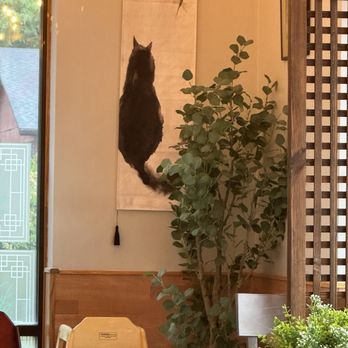 YAMA SI JAPANESE KITCHEN - Updated August 2025 - 59 Photos & 34 Reviews ...