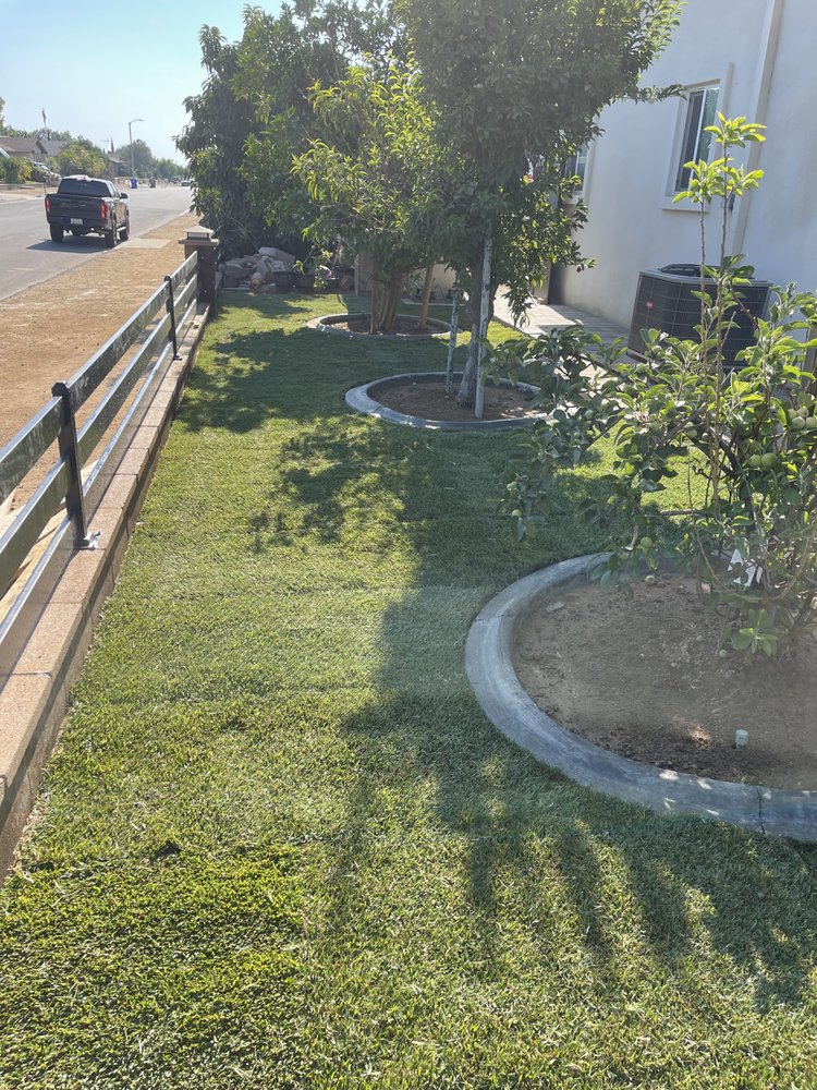 MATTHEW TREE SERVICE - Updated December 2024 - 282 Photos & 128 Reviews ...