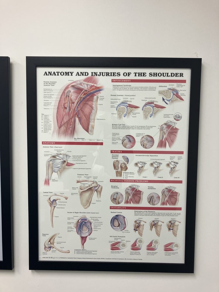 ERIC MILLSTEIN, MD - Updated October 2025 - 135 Reviews - 2901 Wilshire ...