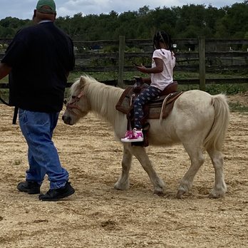 PISCATAWAY RIDING STABLES - Updated October 2025 - 68 Photos & 60 ...
