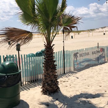 CEDAR BEACH - Updated December 2025 - 99 Photos & 42 Reviews - 100 ...