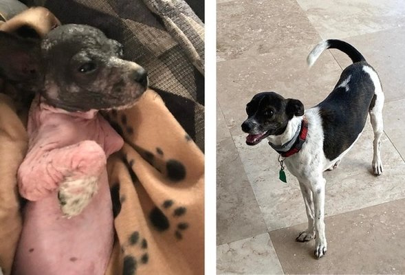 PVAS - LAURIE P. ANDREWS CENTER - Updated December 2025 - 45 Photos ...