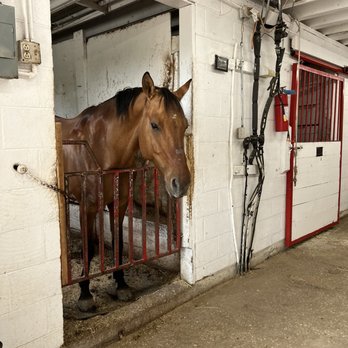 MEMORY LANE STABLES - Updated December 2025 - 168 Photos & 123 Reviews ...